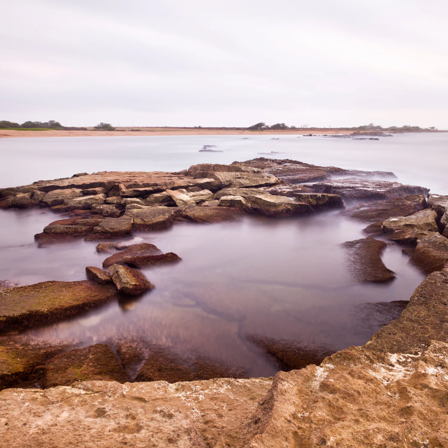 Take a Dip in One of These 5 Best Hawaiian Tide Pools | Hawaii Aloha Travel
